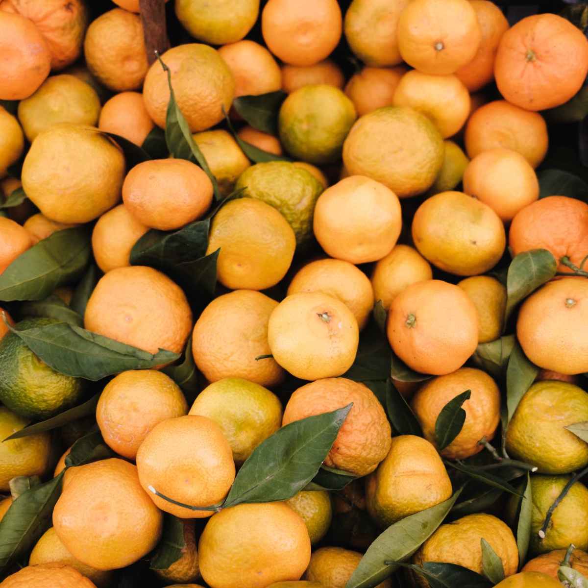 Bailey Fitzgerald R.H.N – Holistic Health + Nutrition – My name is ...